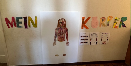 Kita Teddybär – Mein Körper